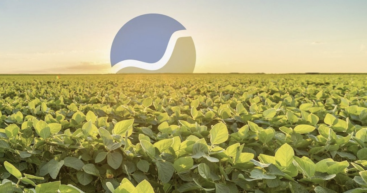 Settoon | Oxbow Crush